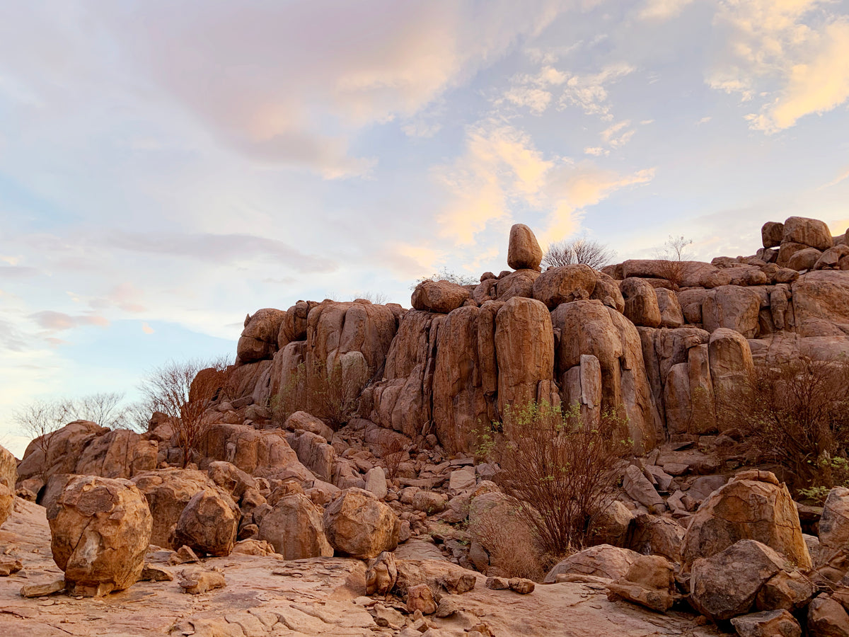 A natural affinity, part two – Baea