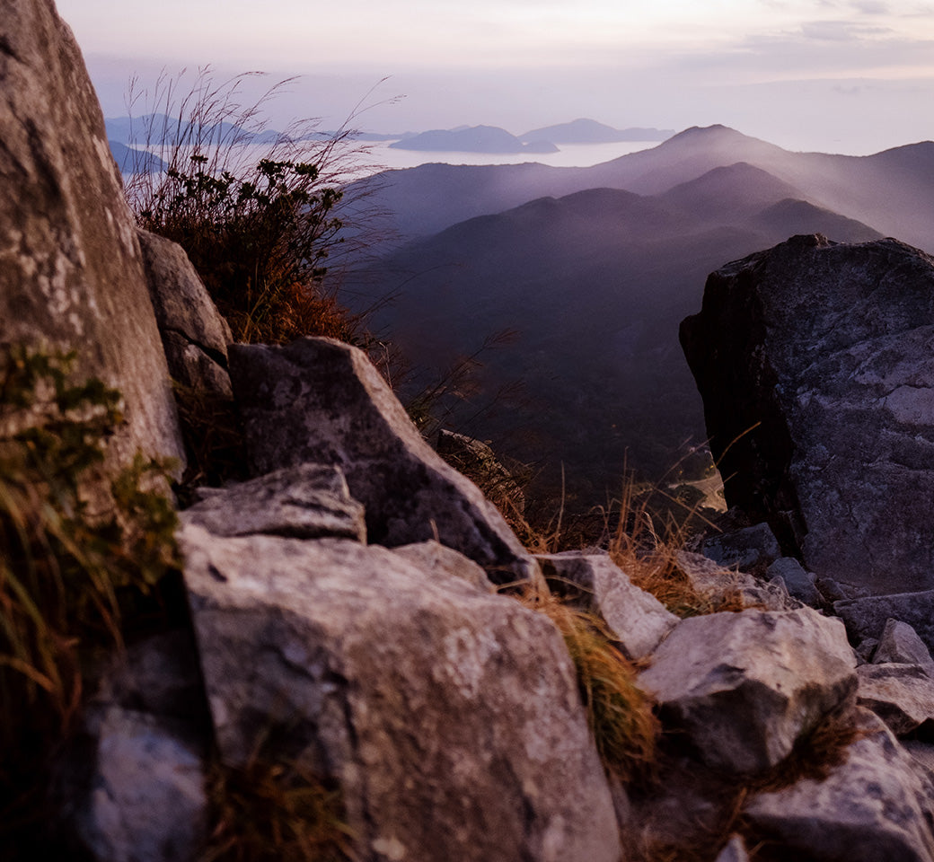 About | Baea - Let Nature In