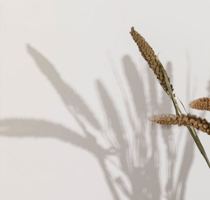 Baea | Contemporary Bedding and Homeware | Let Nature In